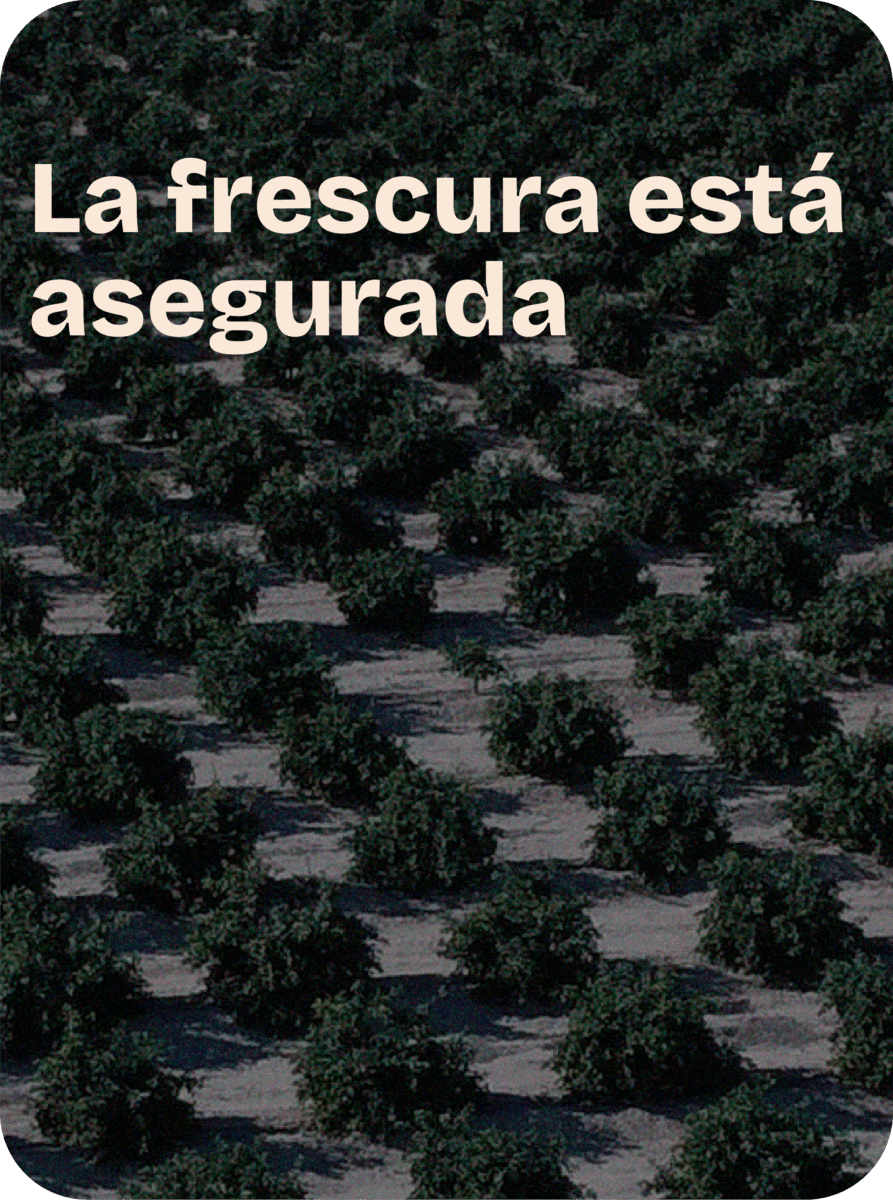 Fincas Eubio - Cultivo Sostenible y Ecológico